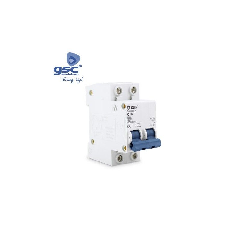 Disjoncteur 2P 20A GSC 000403682 | Leroy Merlin