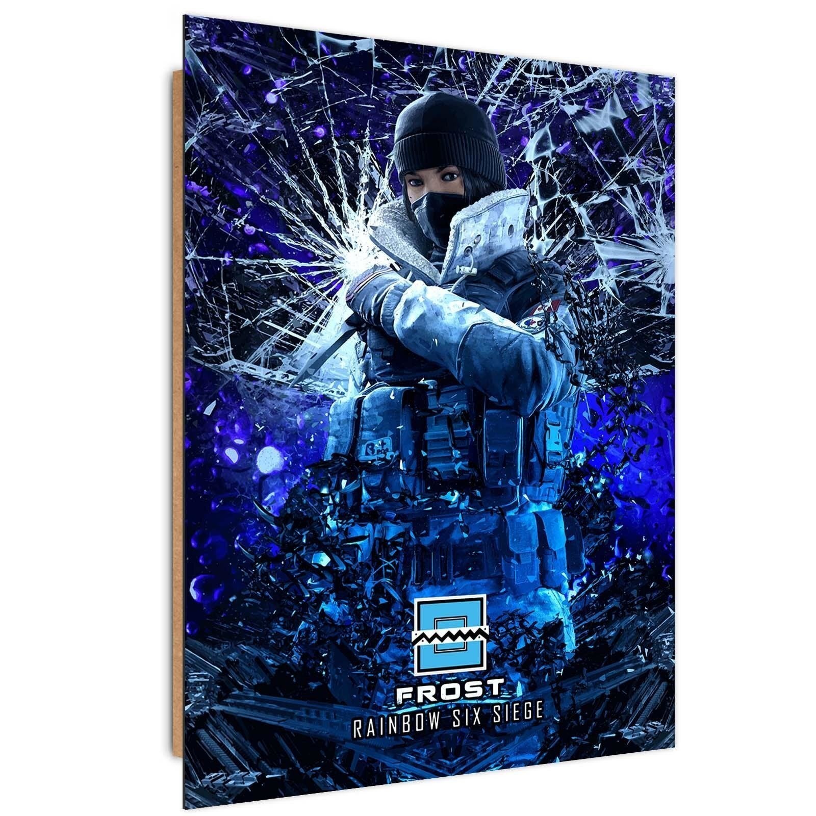 Tableau bois Rainbow Six Siege Frost | Leroy Merlin