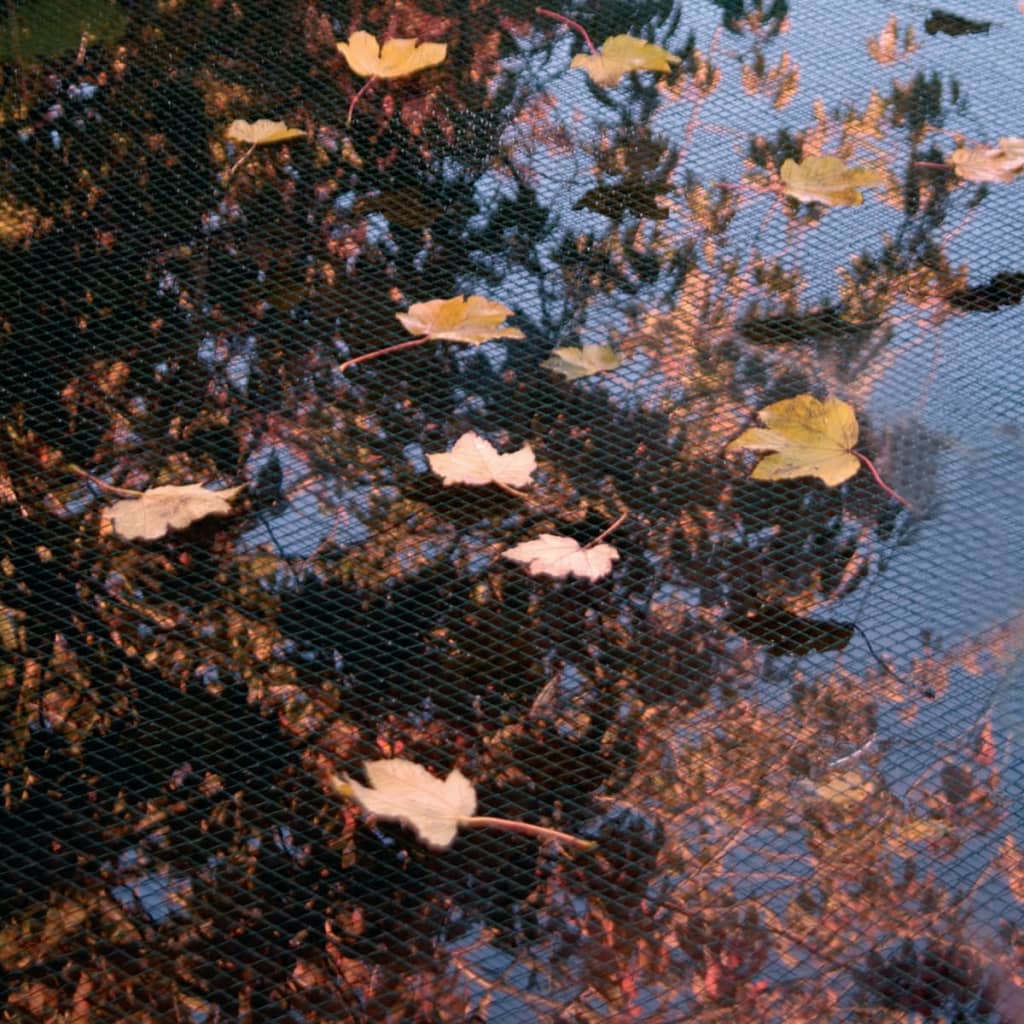 Filet de protection pour bassin en polyéthylène 1371344, 4 x 6 m ...