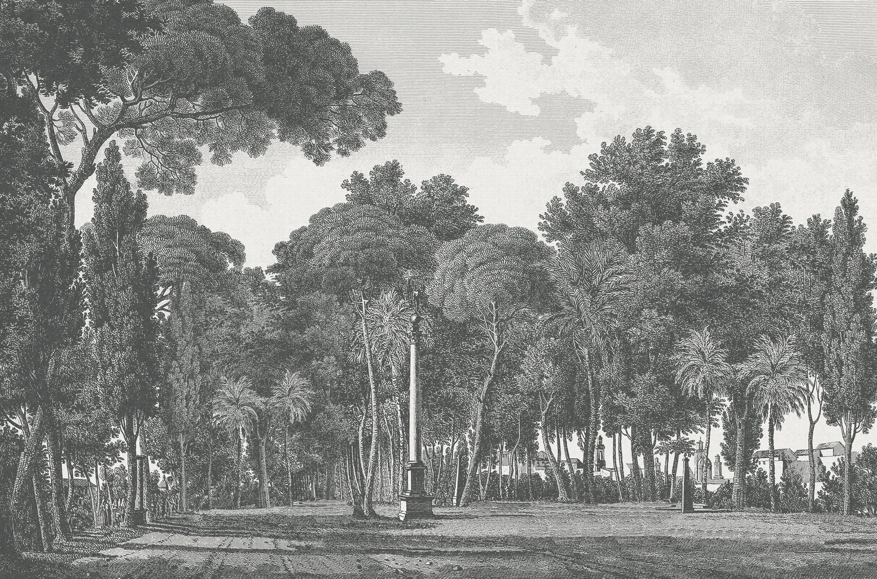 Fotomural bosque gris - 424 x 280 cm - Sanders & Sanders | Leroy Merlin