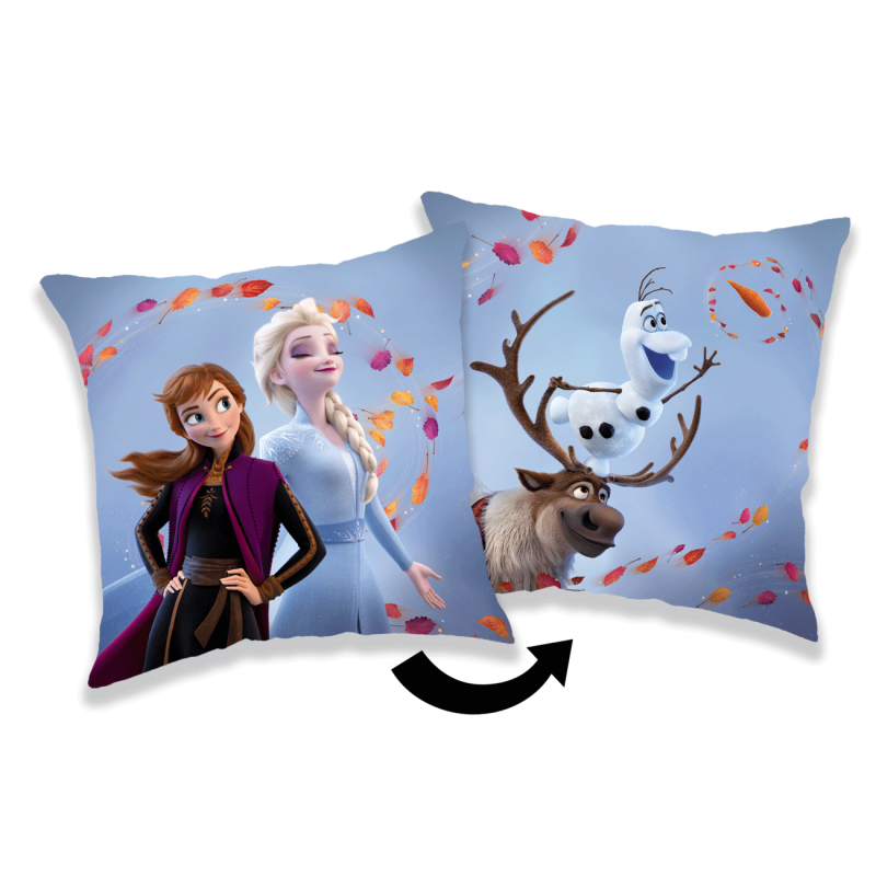 Disney - Coussin carré en polaire "La Reine des Neiges : Vent ...