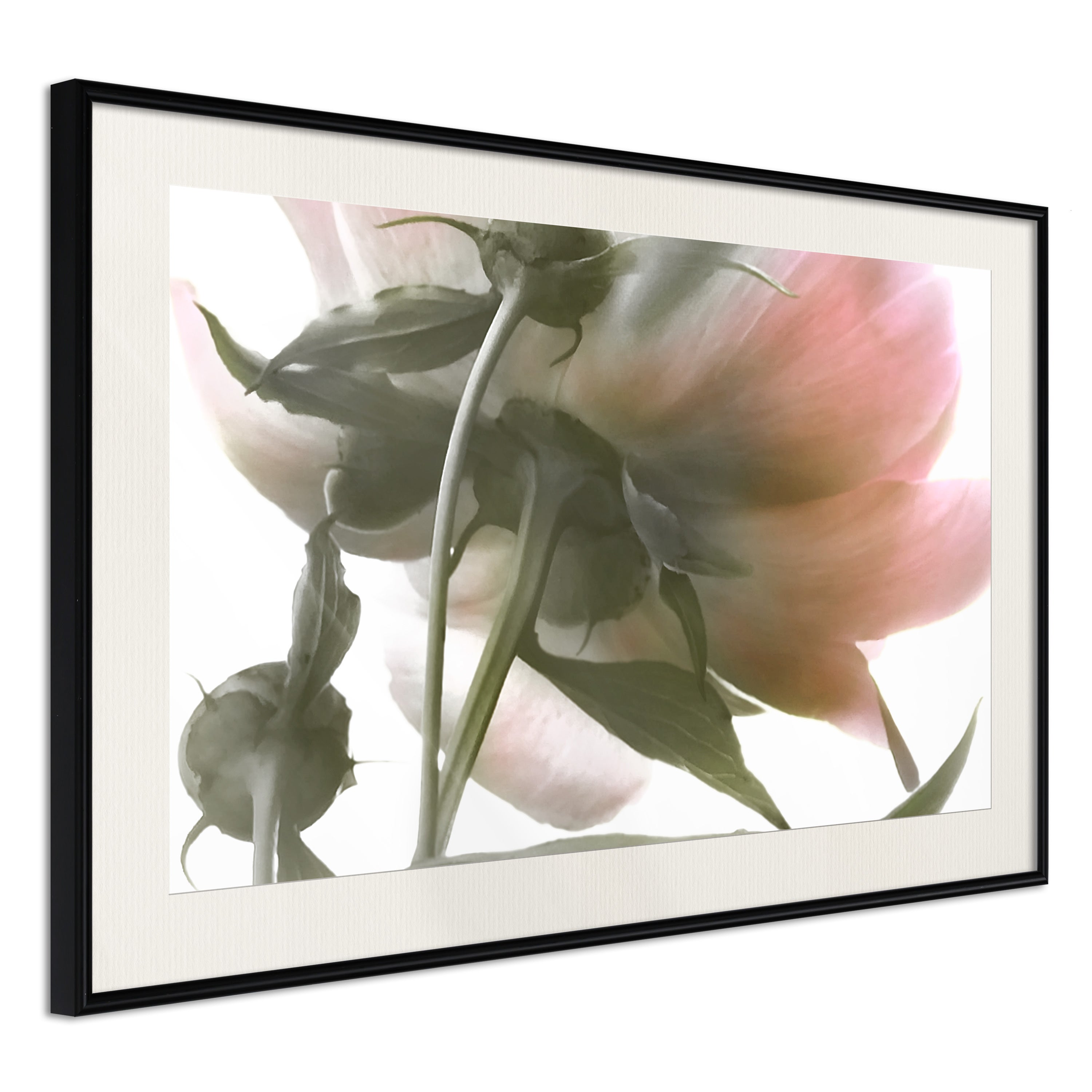 Poster et affiche - Under the Flower 30x20 cm | Leroy Merlin