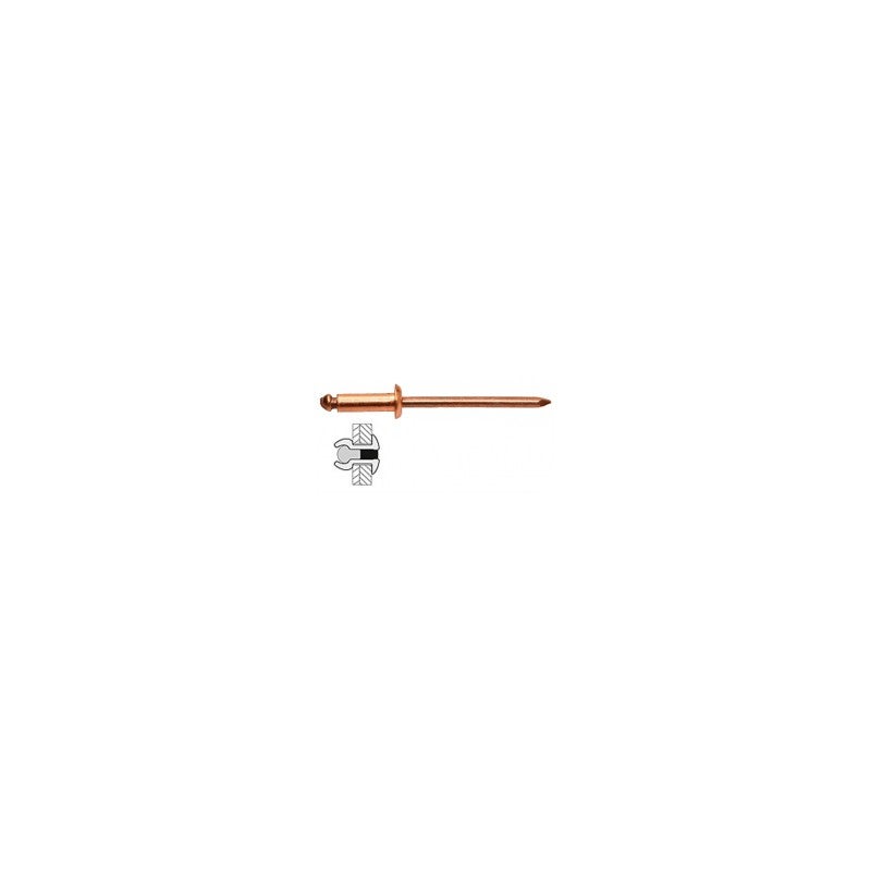 Rivet Cuivre/Acier 3X10 (100) | Leroy Merlin