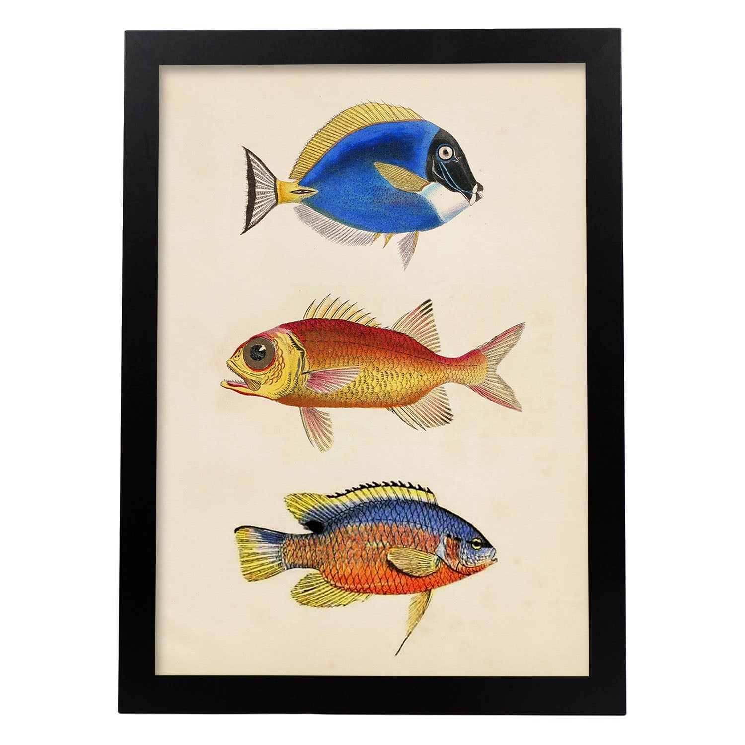 Lámina De Tres Peces Naranjas Azules Y Amarillos En Fondo Papel Vintage ...