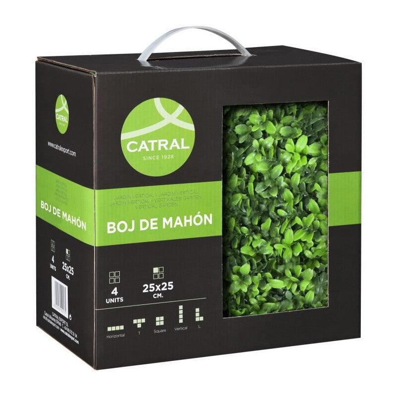 CATRAL - Lot 4 carreaux pour jardin vertical buis longifolia - 25 x ...