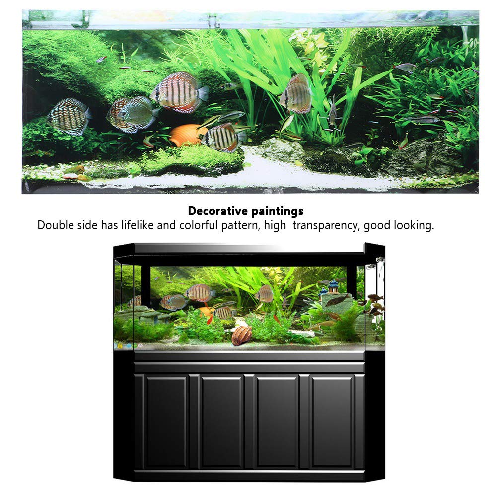 Autocollant en PVC pour fond d'aquarium, petits poissons, plantes ...