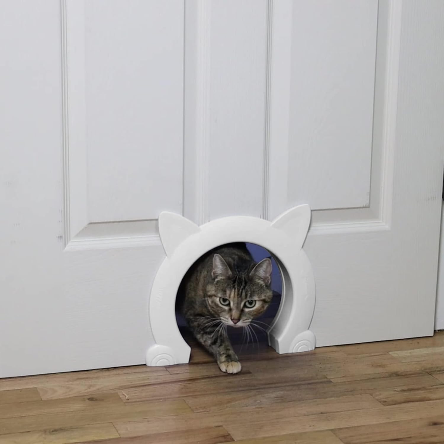 Gatera interior para mascotas, fácil de instalar, apta para gatos ...