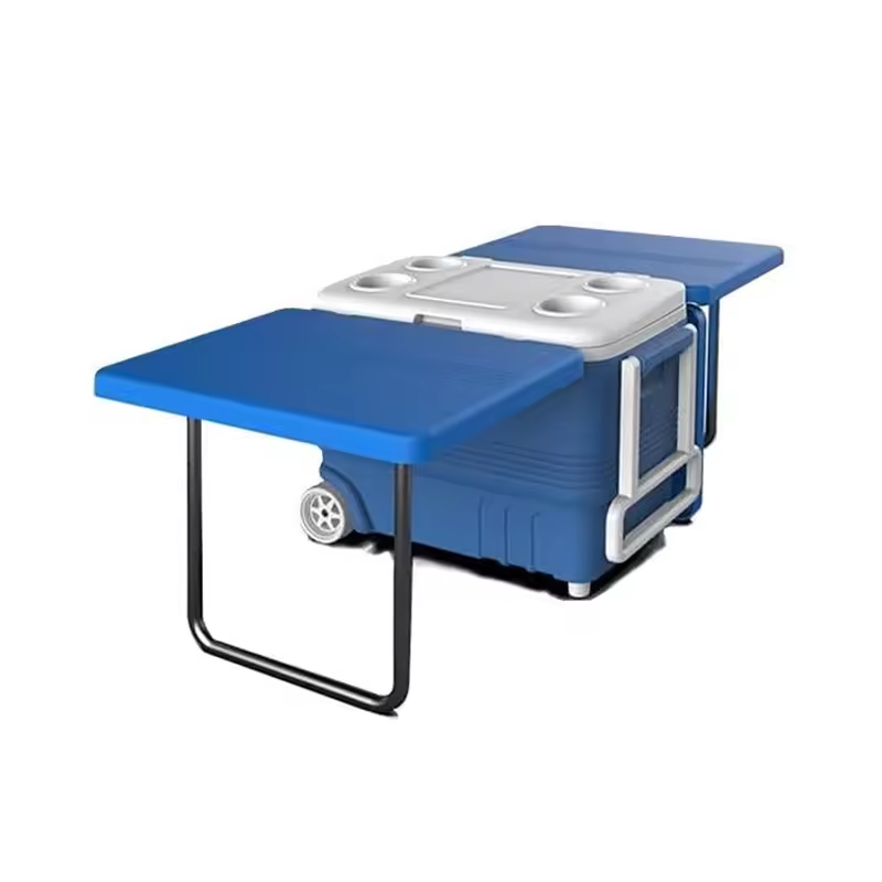 Nevera Pasiva 45L con asa, La Mejor Nevera portatil para Camping, Playa ...