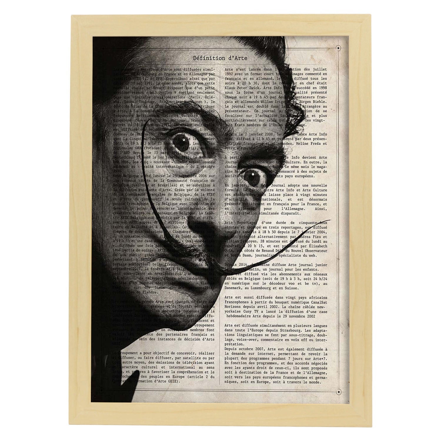 Affiche De Salvador Dali. Plaques De Caractères Importants. Affiches De ...