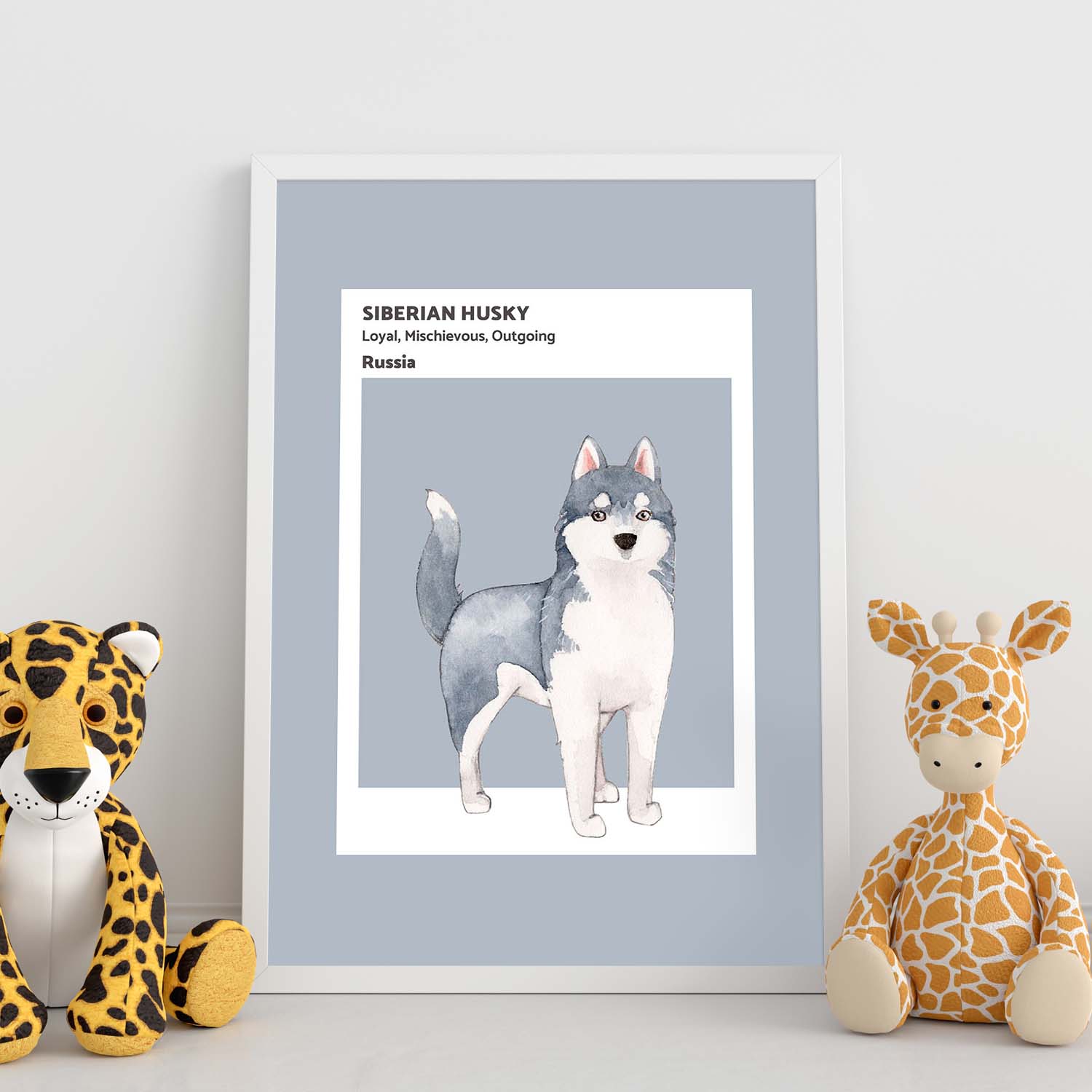 Lame Husky Sibérienne. Affiches Avec Des Illustrations De Races De ...