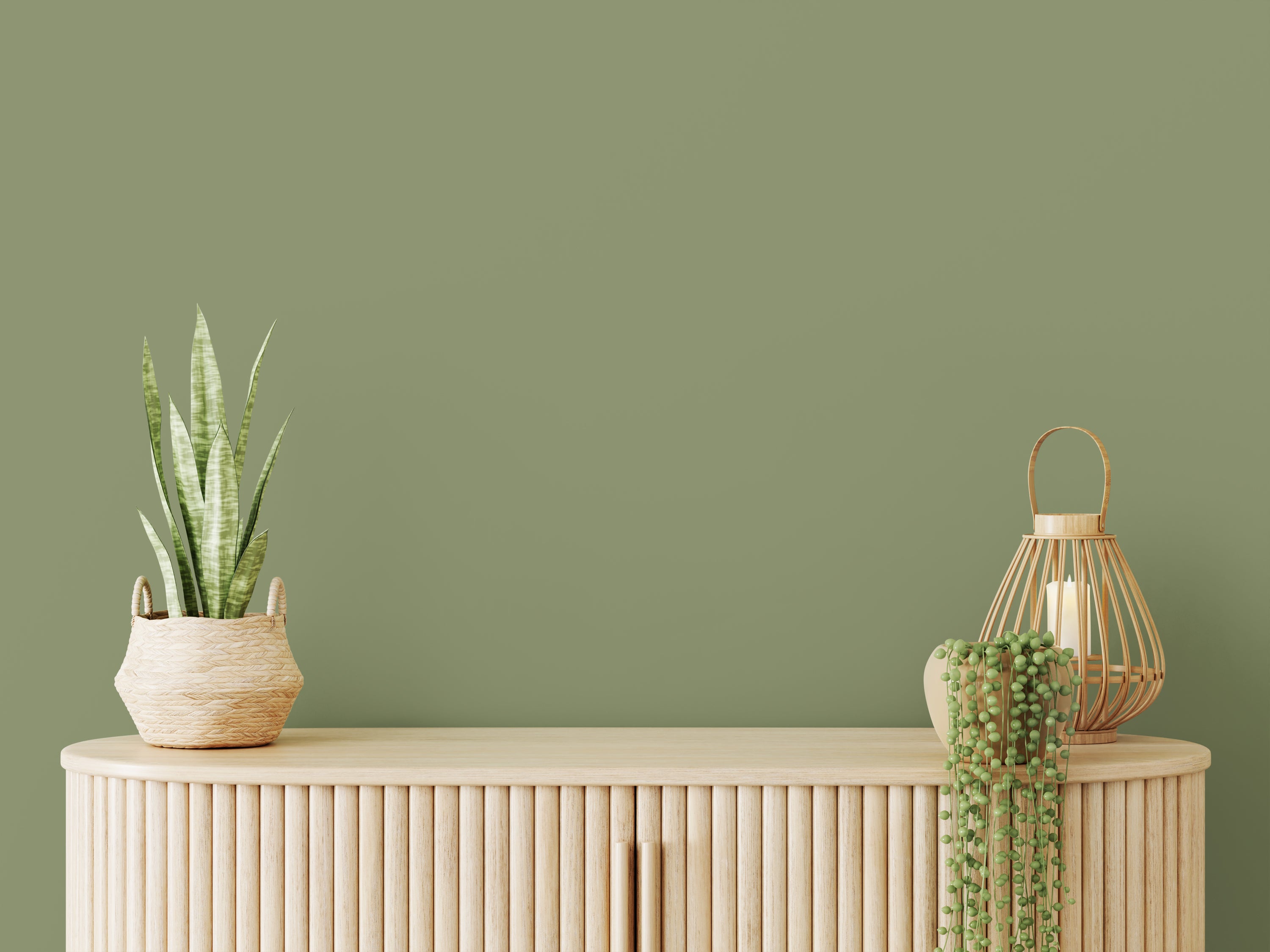 THE COLOR KITCHEN - Pintura mural de muy alta opacidad color verde ...