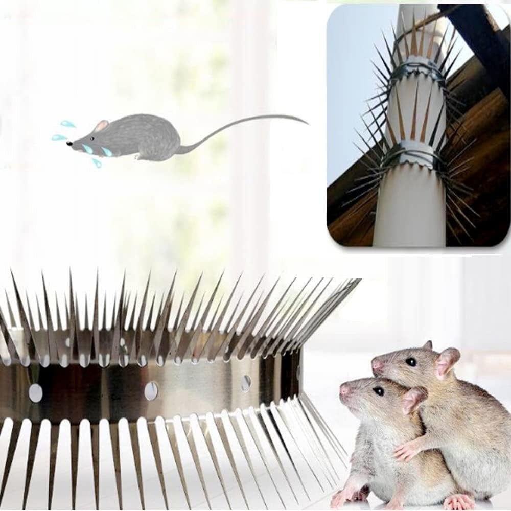 Bande Anti-Animal en Acier Inoxydable 100cm x 10mm - Pointes ...