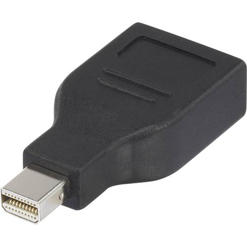 Renkforce RF-4174572 DisplayPort Adaptateur [1x Mini port Display mâle ...