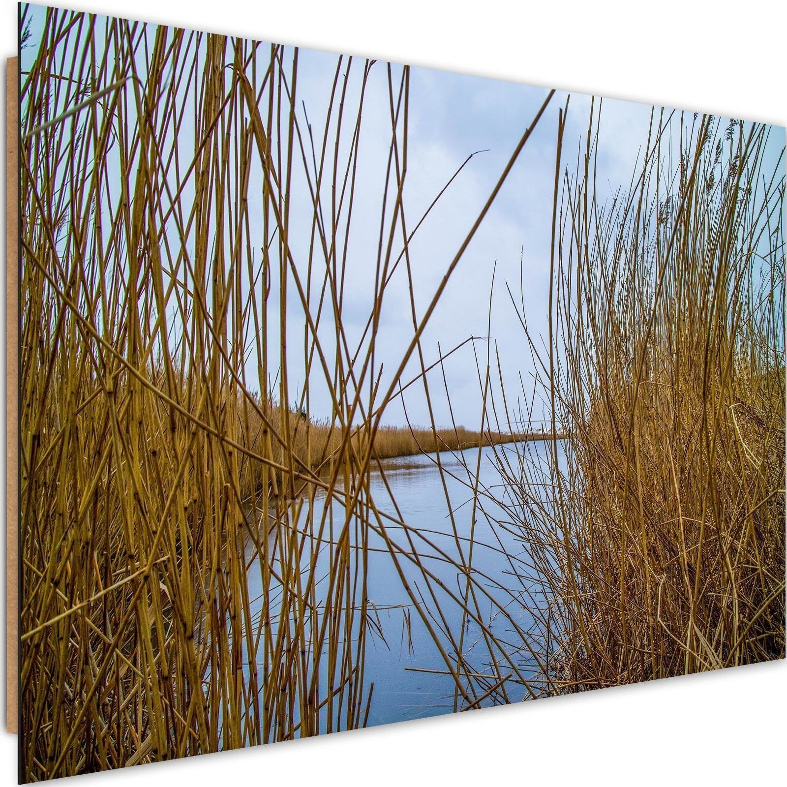 Tableau bois de canne sur le lac - 60 x 40 cm | Leroy Merlin