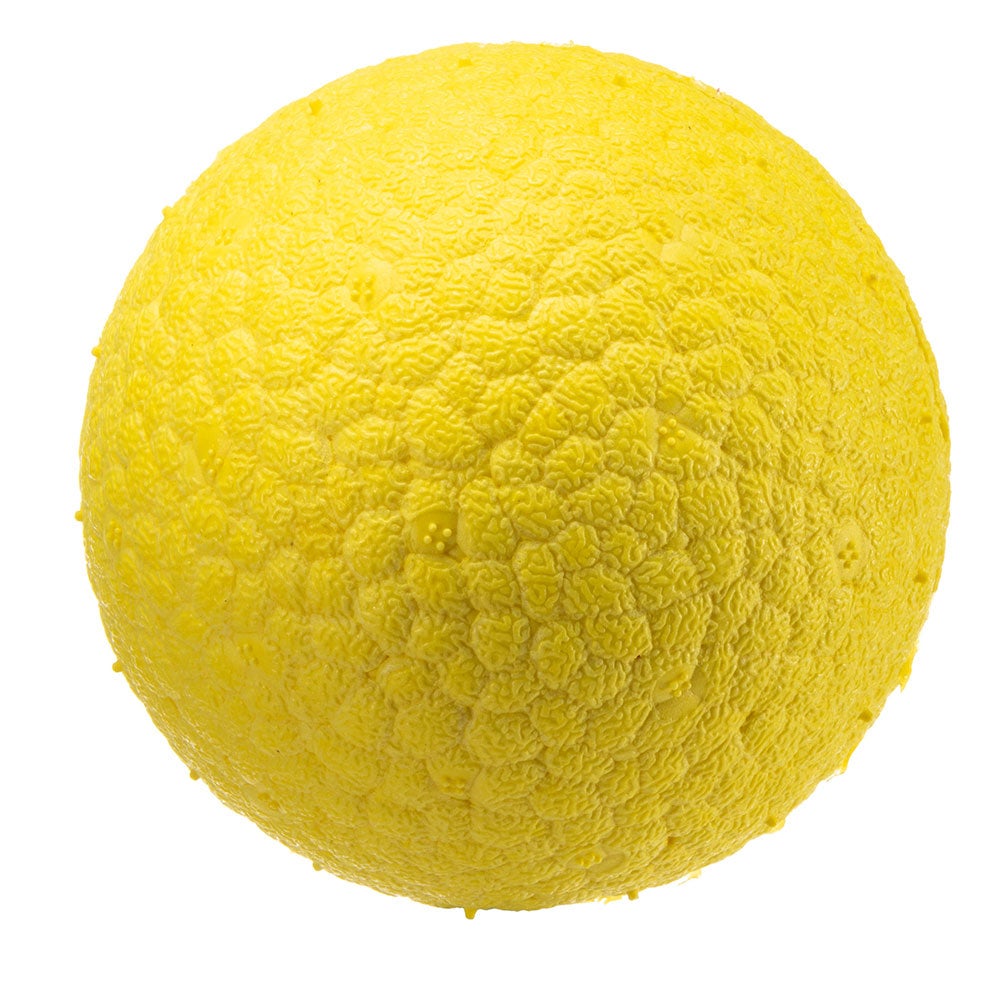 Ferplast Juguete Perro, Pelota Perro, en Material Duradero, No Tóxico ...
