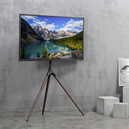 Pied pour TV TECHly ICA-TR18SAM 114,3 cm (45) - 165,1 cm (65) rigide ...