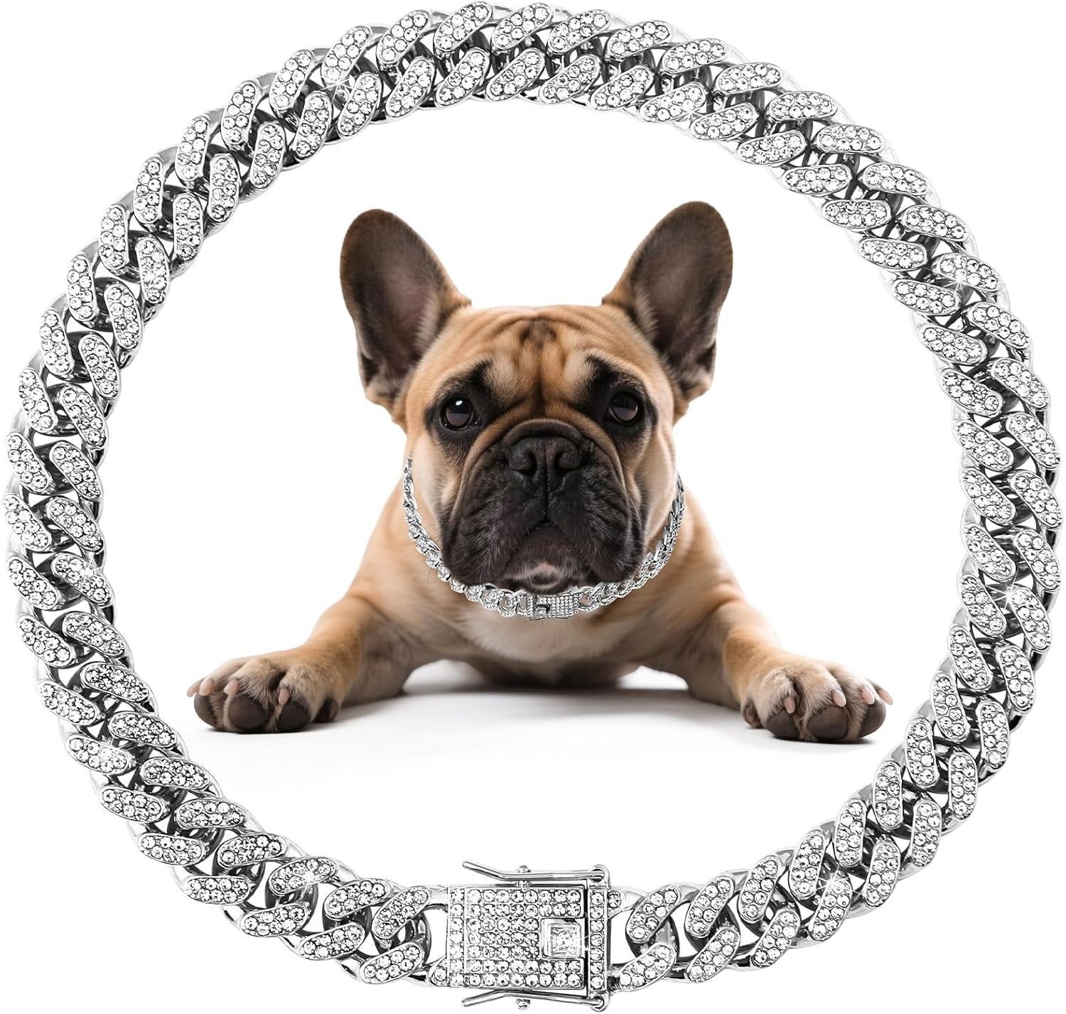 Collier chien argenté avec strass, chaîne métal 14 pouces, solide ...