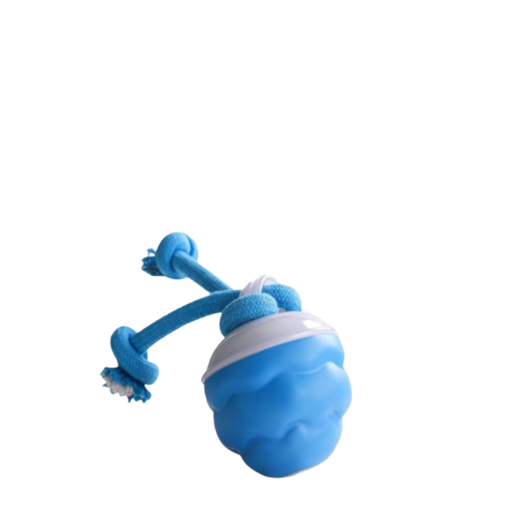 Balle interactive automatique, pour chien, petit gabarit, gabarit moyen ...