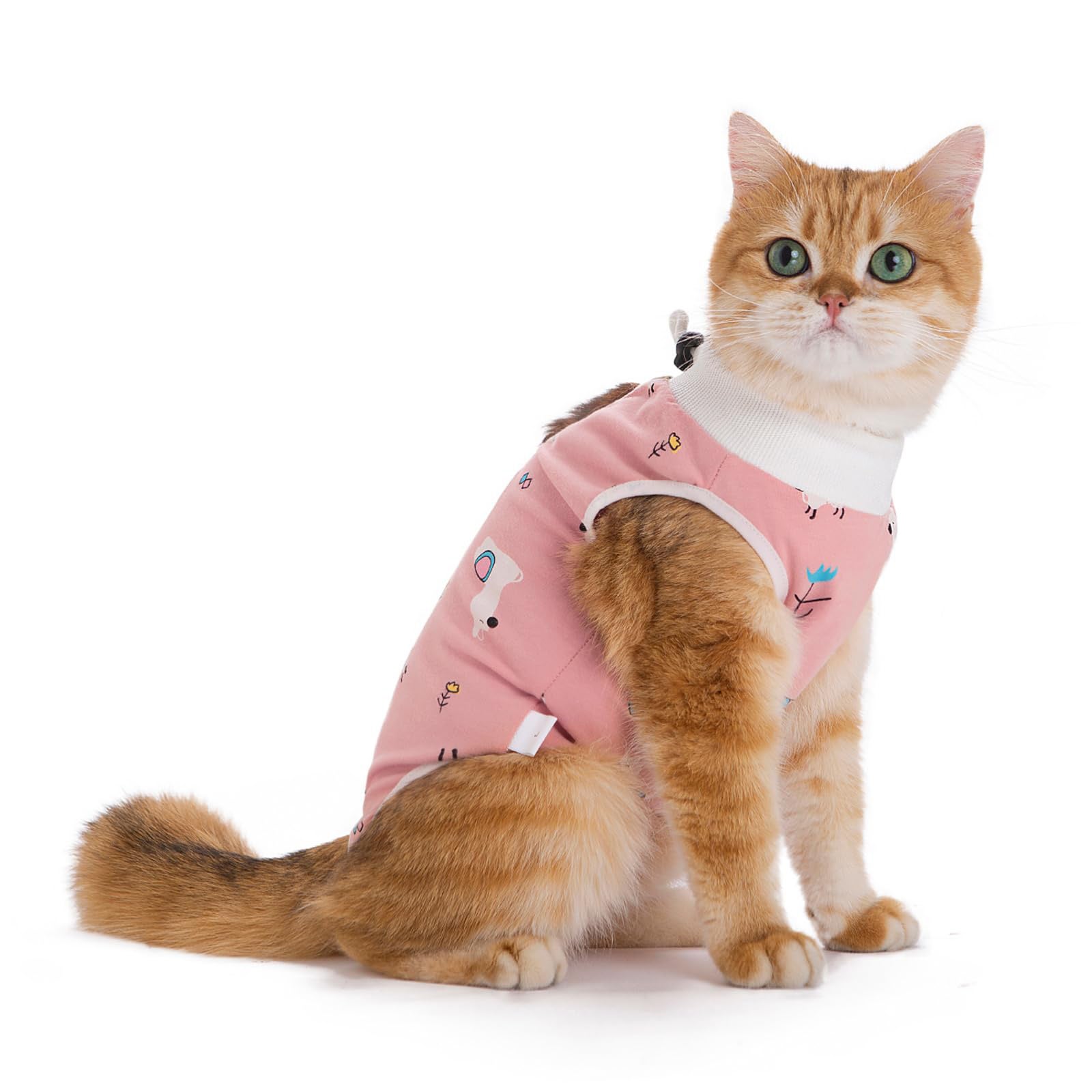 Vêtements de convalescence post-opératoires pour chats - body pour ...