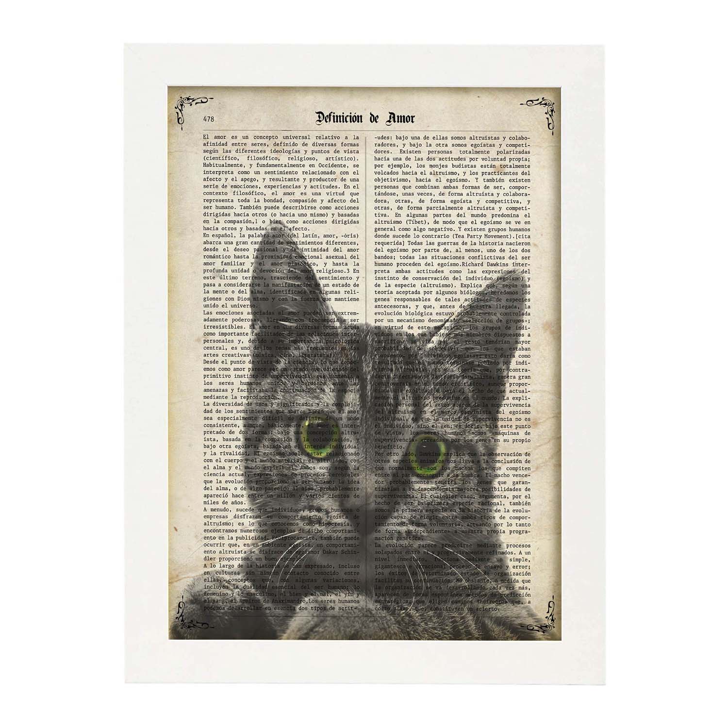 Affiche De Chat Verte. Feuilles D'animaux Avec Des Définitions ...