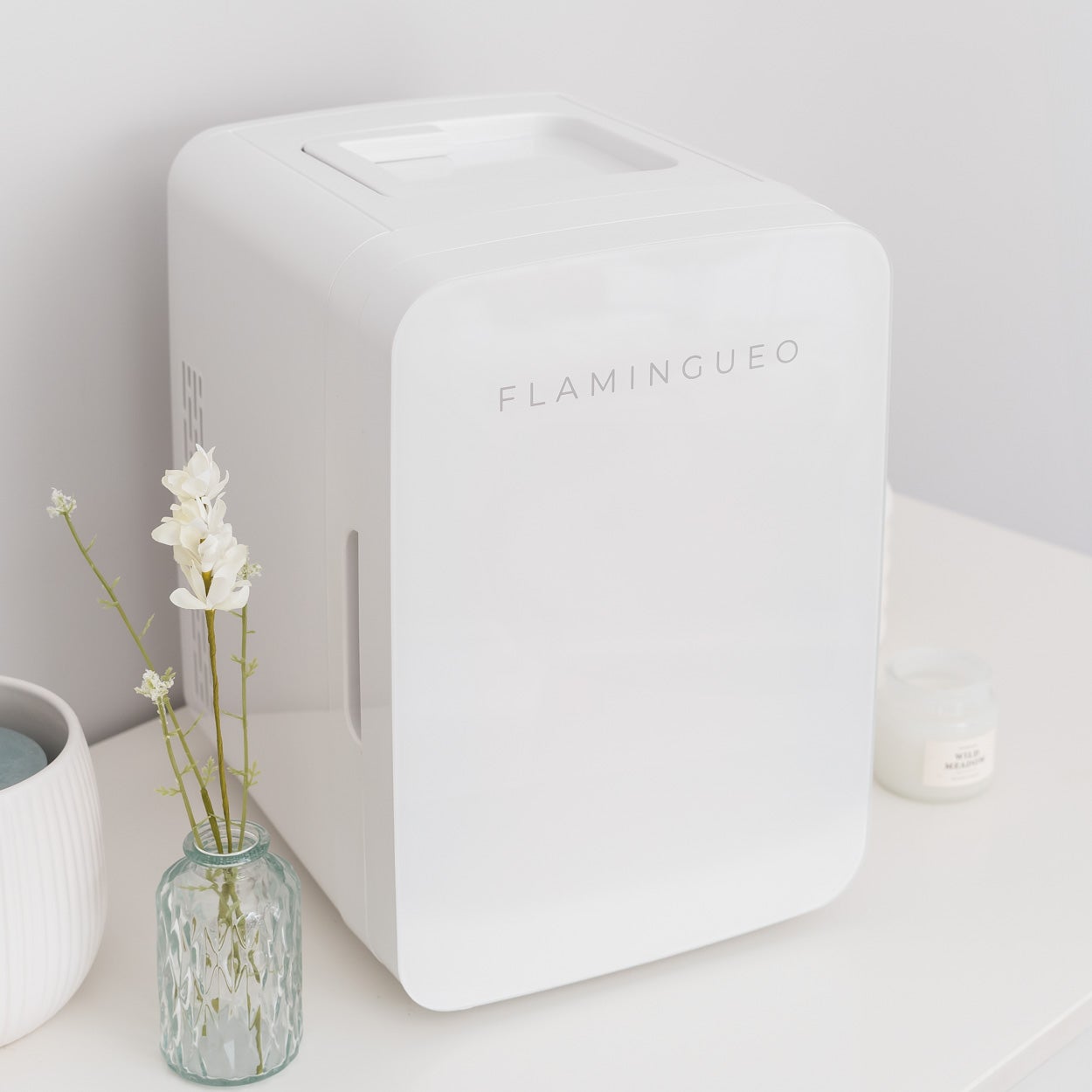 Flamingueo Mini Frigo de Chambre 10L Petit Frigo 12V/220V Fonction ...
