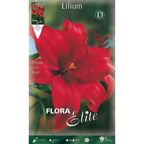 Bulbo Lilium asiatic rojo 2 | Leroy Merlin