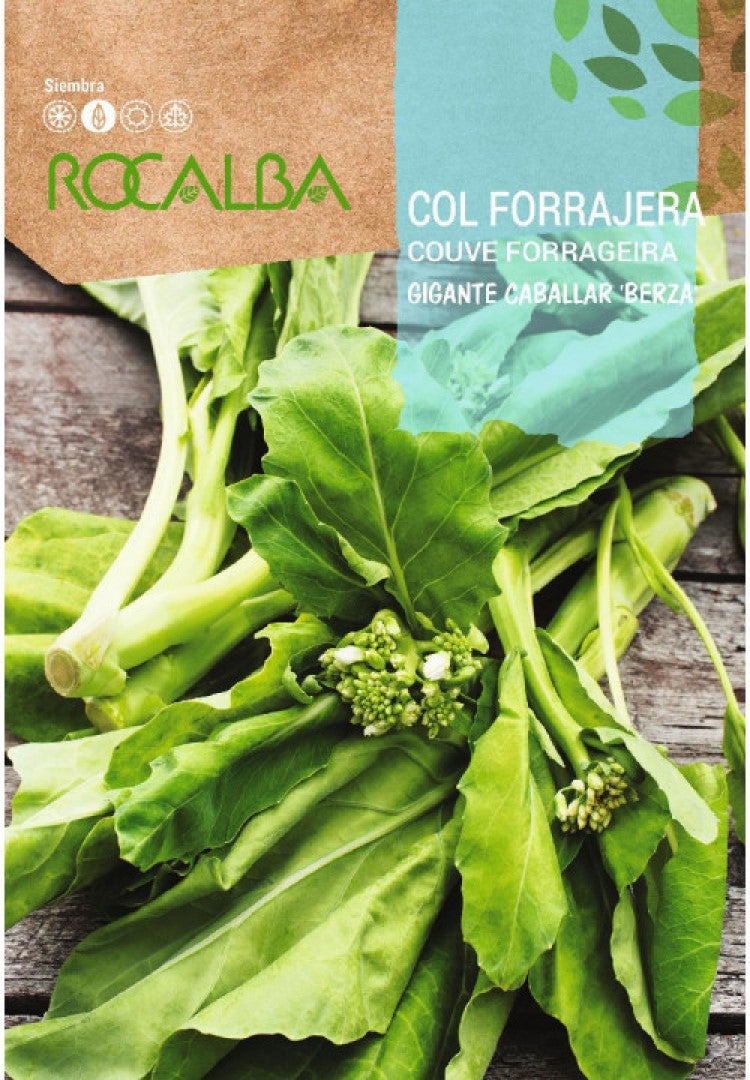 ROCALBA SEMILLAS COL FORRAJERA GTE.CABALLAR"BERZA 25 gr, Pack 5 Sobres ...