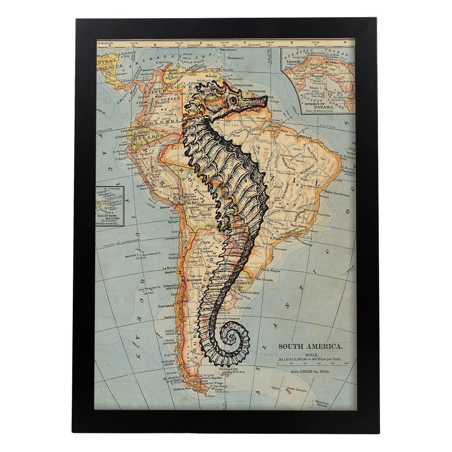 Posters De Objetos Sobre Mapas. Lamina Caballito De Mar Blanco Y Negro ...