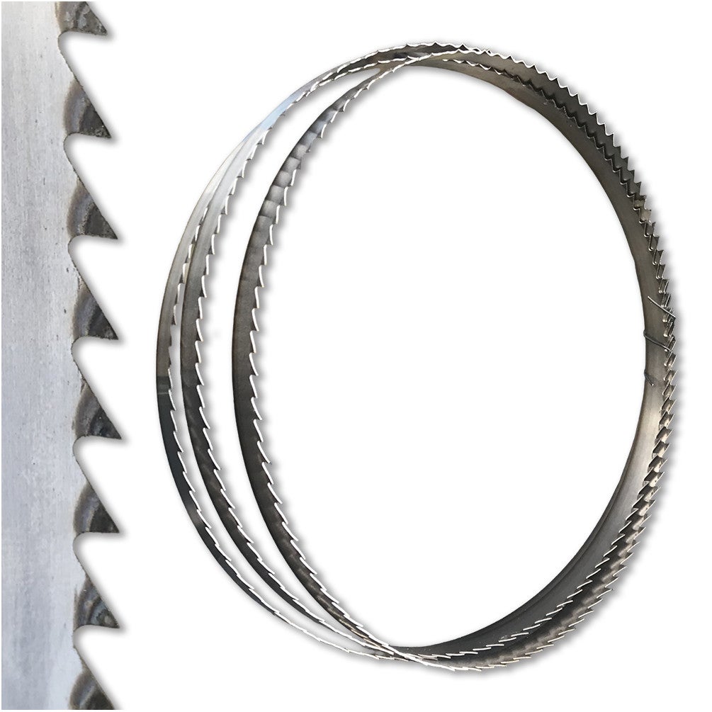 Lame de scie à ruban bois PAE réaffûtable 1575 x 10 x 0,6 x 6 mm ...