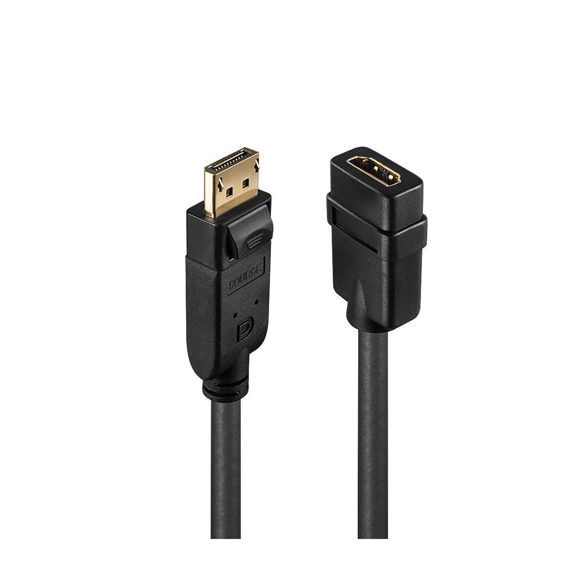 Lindy 41005 câble vidéo et adaptateur 0,15 m DisplayPort HDMI Noir ...