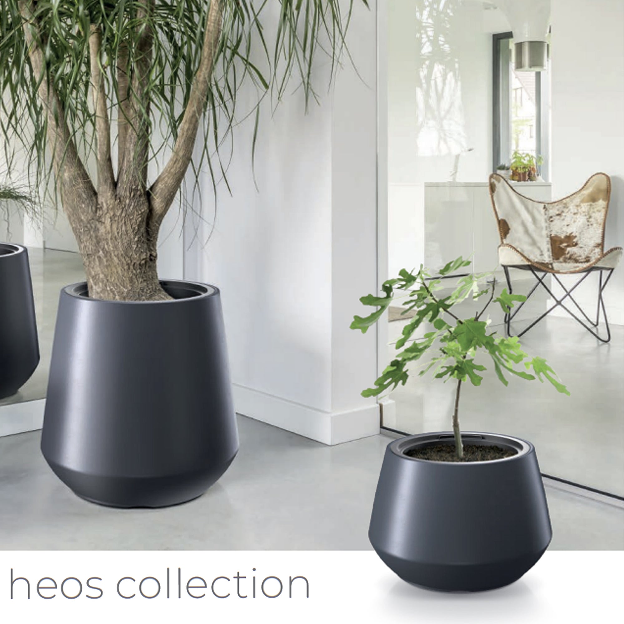 Prosperplast Pot de Fleurs HEOS 51L, avec réservoir, Dimensions (mm ...