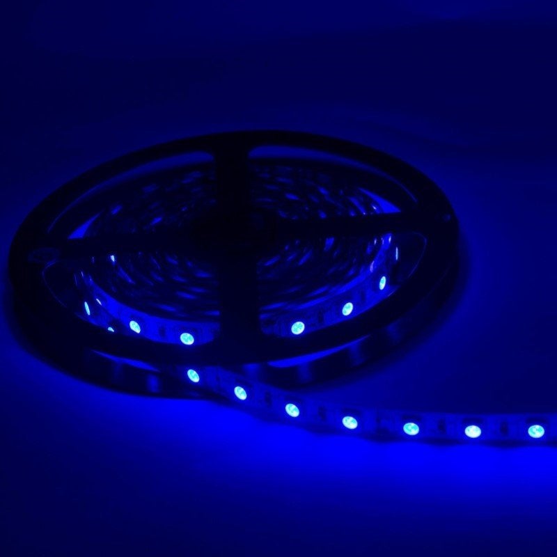 Ruban LED 12V 5M BLEU IP54 SMD 2835 60LED/m - SILAMP | Leroy Merlin