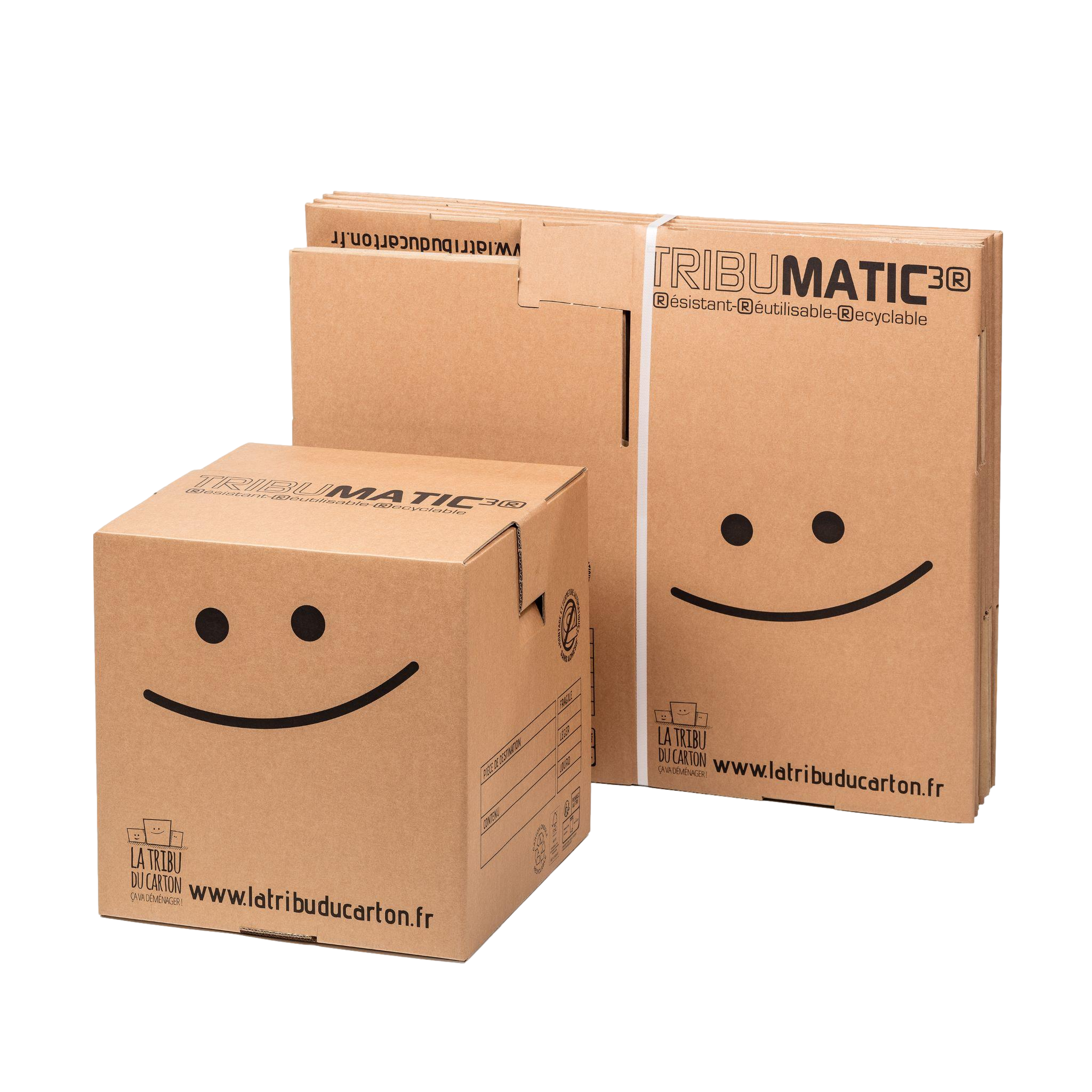 Pack 10 cartons automatique tribumatic Medium | Leroy Merlin