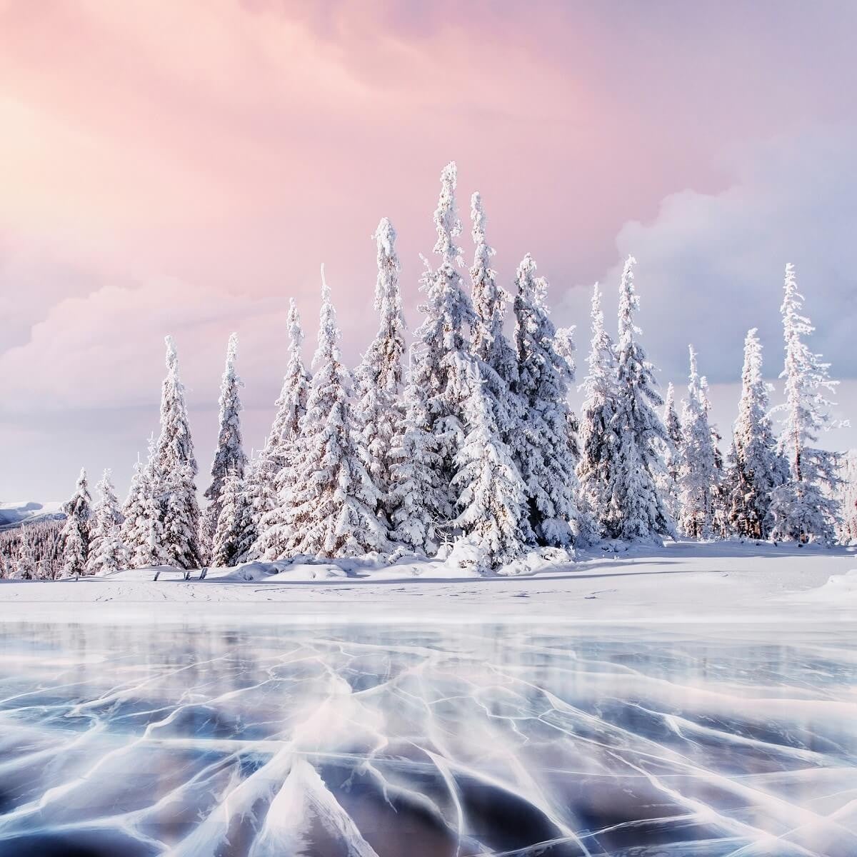 Tableau sur verre paradis enchanté 30x30 cm | Leroy Merlin