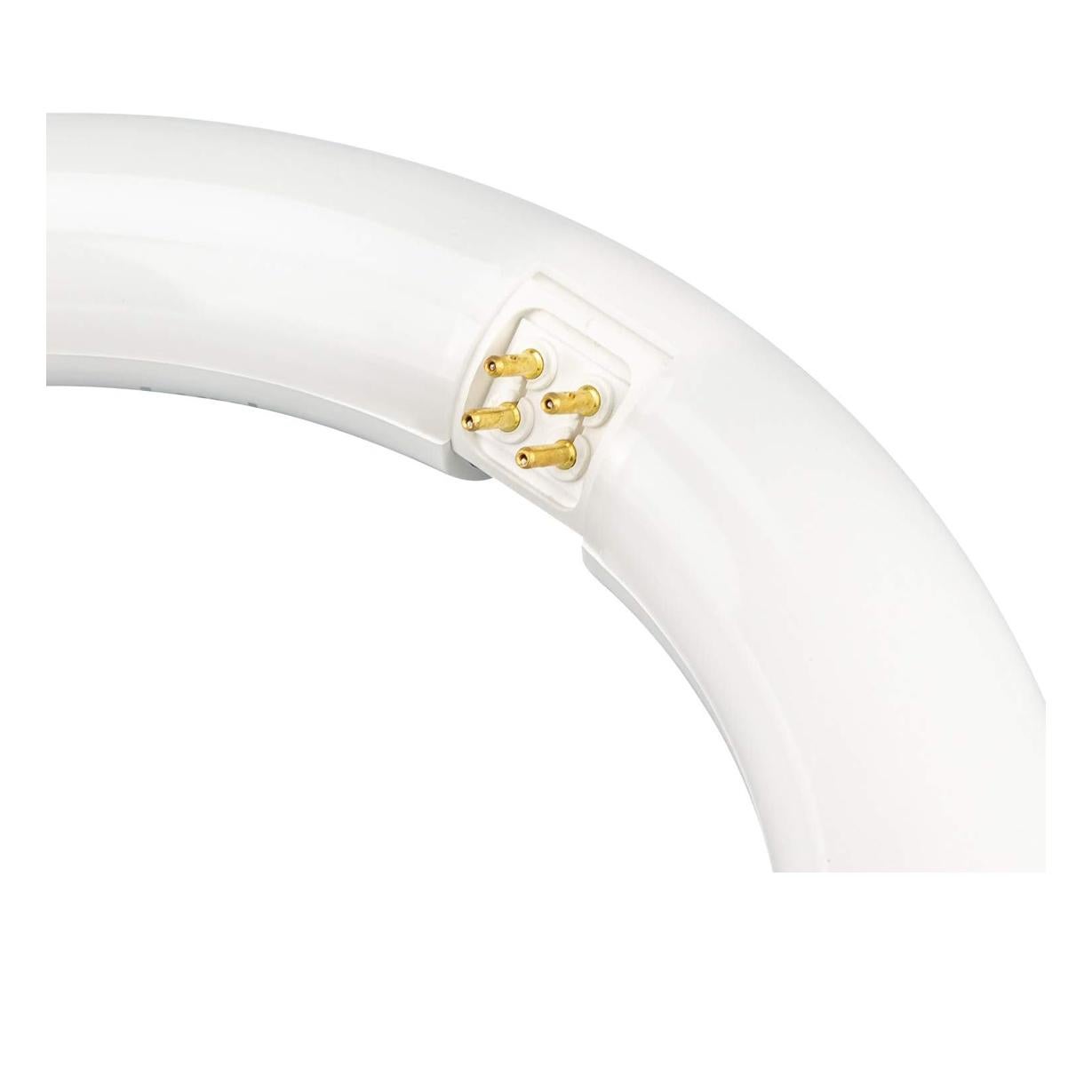 Orion91 - LED Fluorescent Tube T8 Circular G10Q 18W (104W equivalent ...