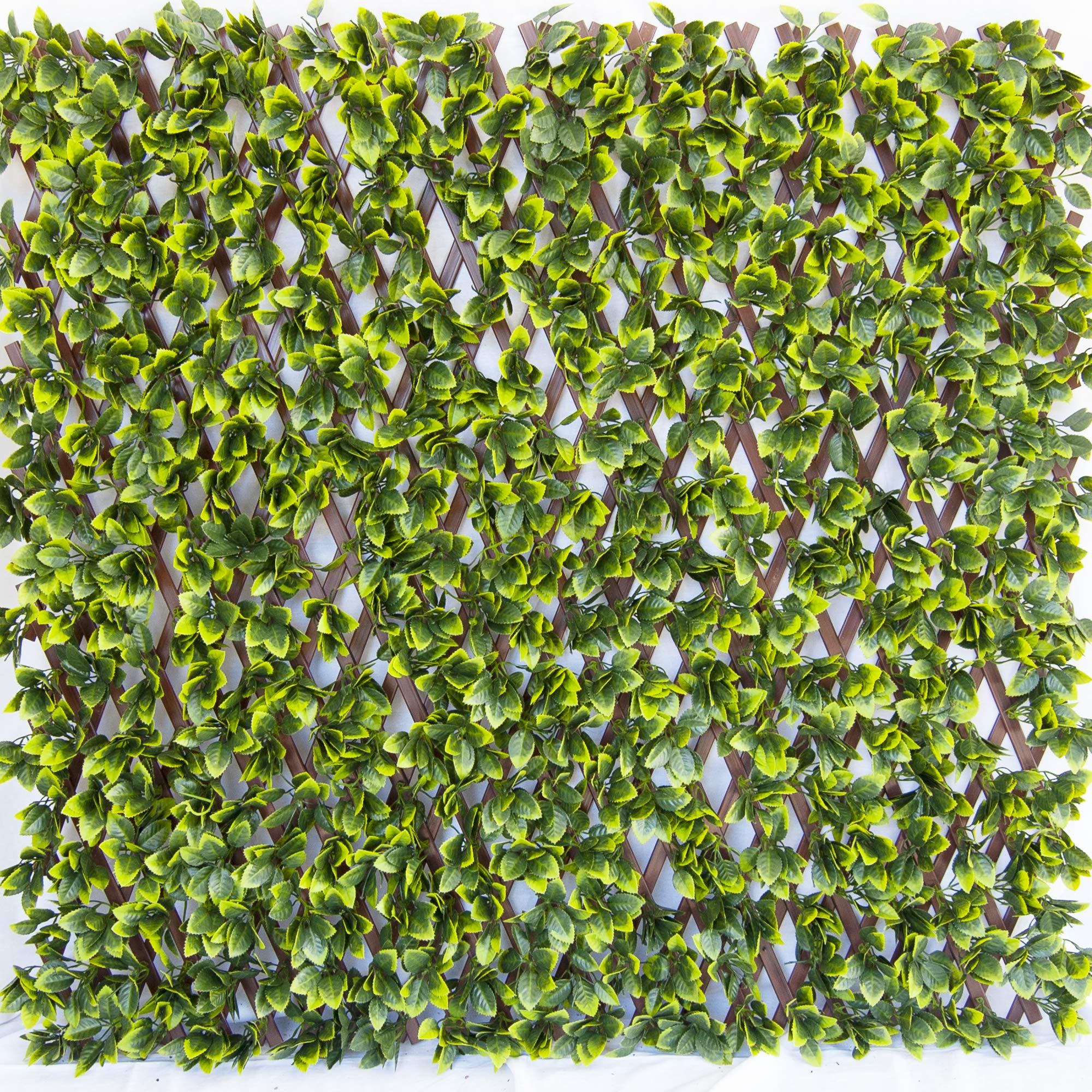 TENAX Siepe Artificiale con Foglie 3d su Traliccio Estensibile in PVC ...