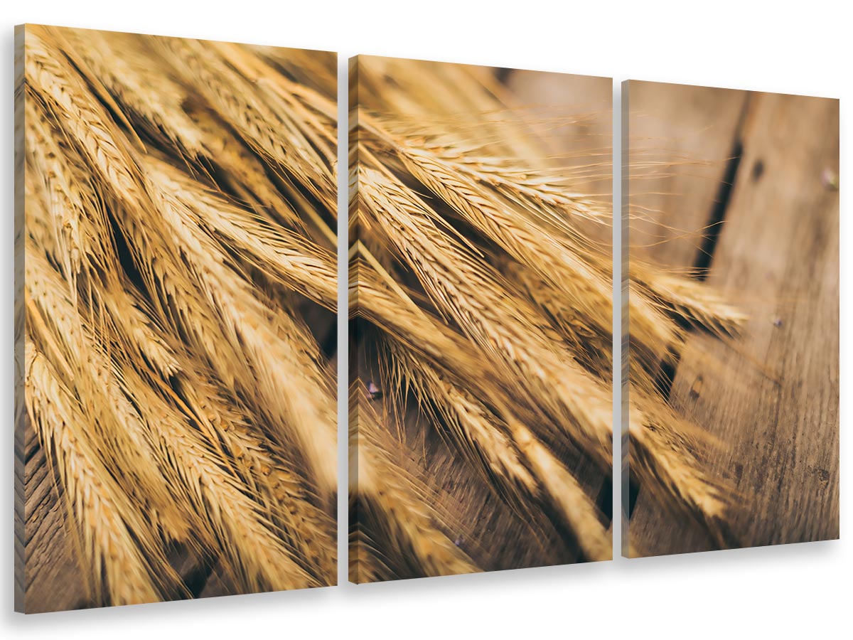Tableau triptyque deco blés en fin d'été - 90x60 cm | Leroy Merlin