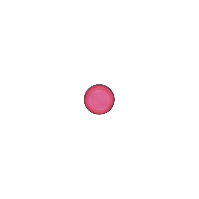 Bouton Piezo RGB en plastique - CCEI | Leroy Merlin