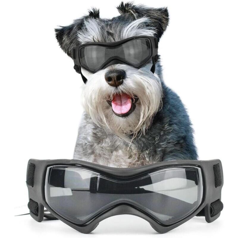 Gafas sol para perros raza mediana protección para carlinos perros ...