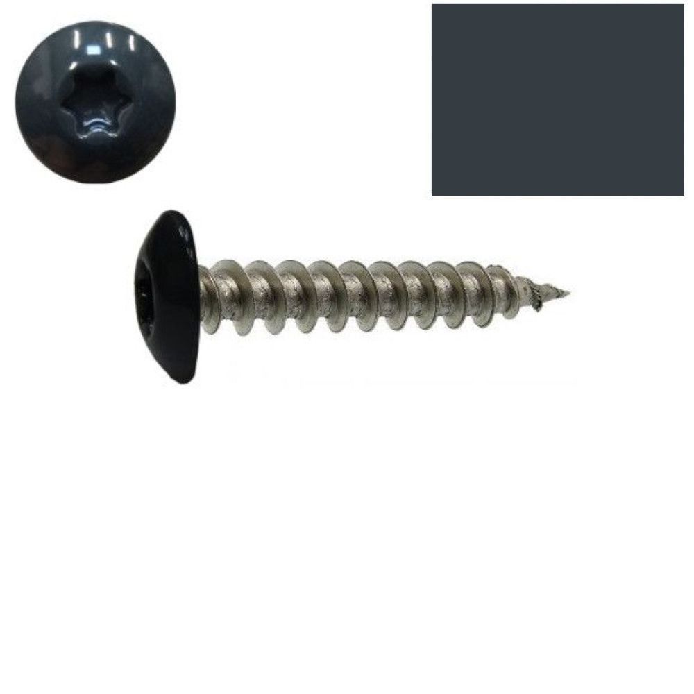 Vis penture 6x30 mm Inox A2 gris anthracite RAL 7016 par 50 | Leroy Merlin