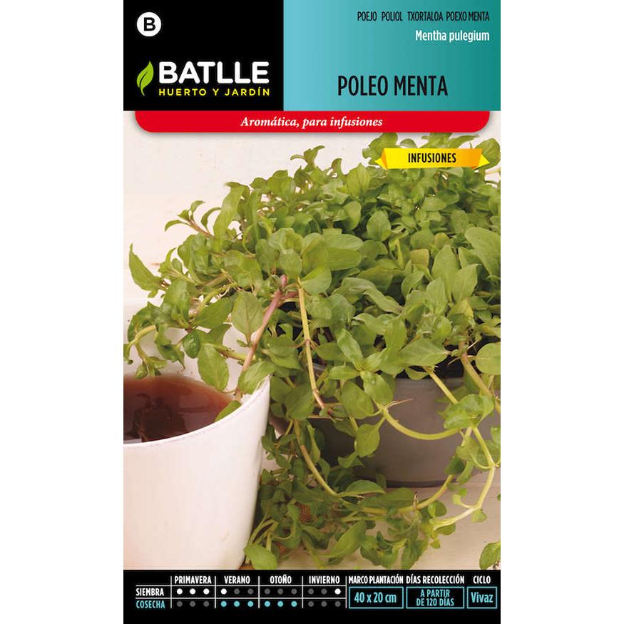 Semillas de Poleo Menta - Calidad y Versatilidad | Leroy Merlin