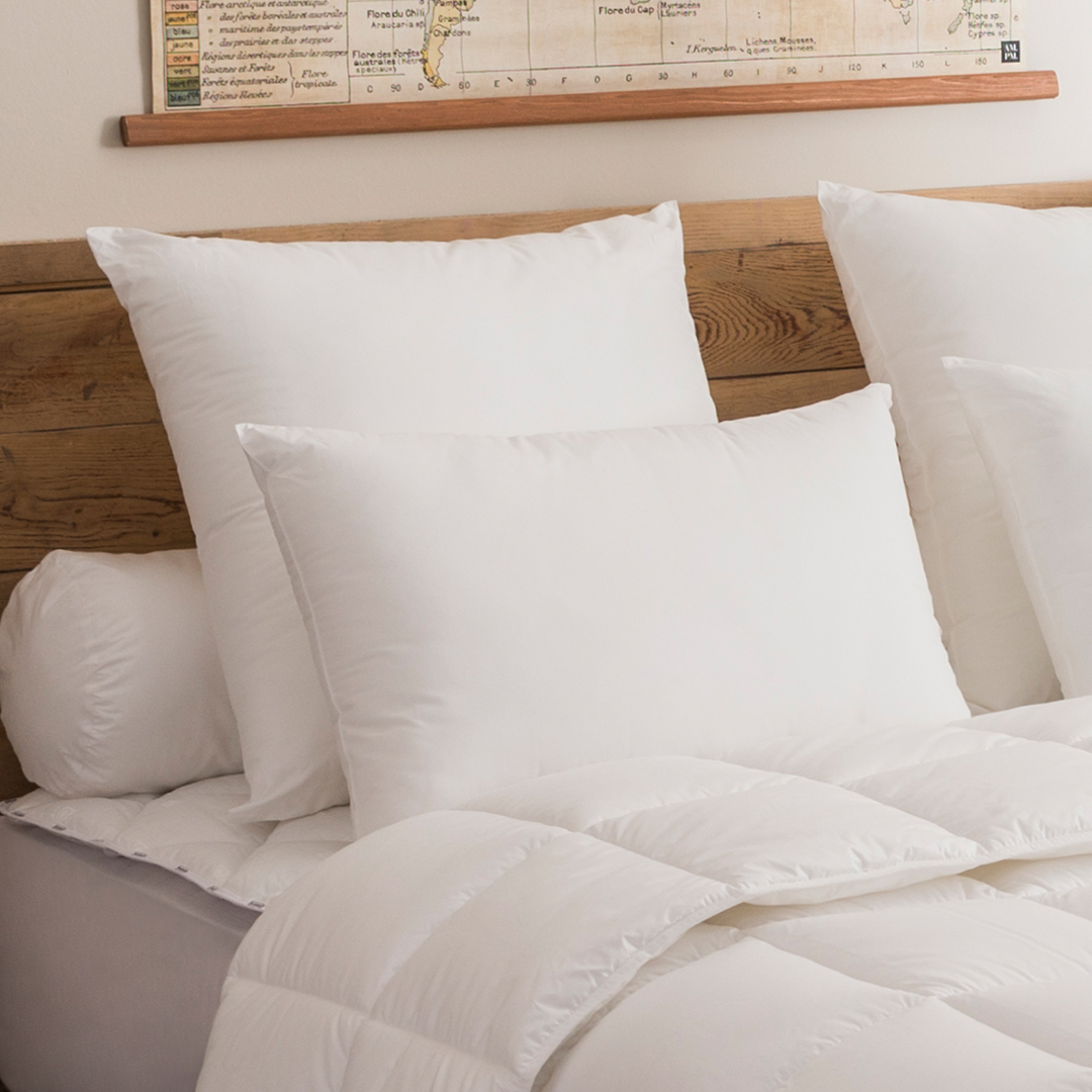 DODO | Oreiller Visco Confort - MEDIUM 65x65 | Leroy Merlin