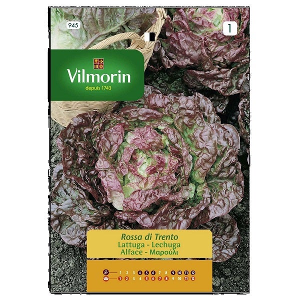 VILMORIN Semillas de LECHUGA ROSA TRIENTO, Ref: 945, 5 gr | Leroy Merlin