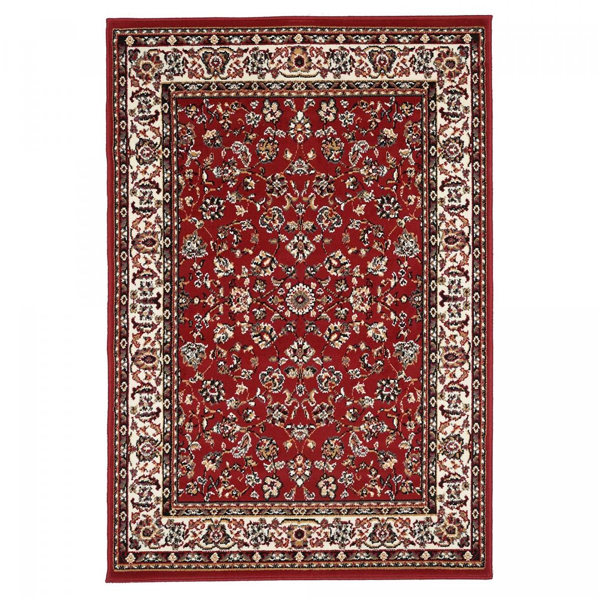 Tapis oriental 60x110 rectangle rouge tissé motif ancestral LYN1 NOMED ...