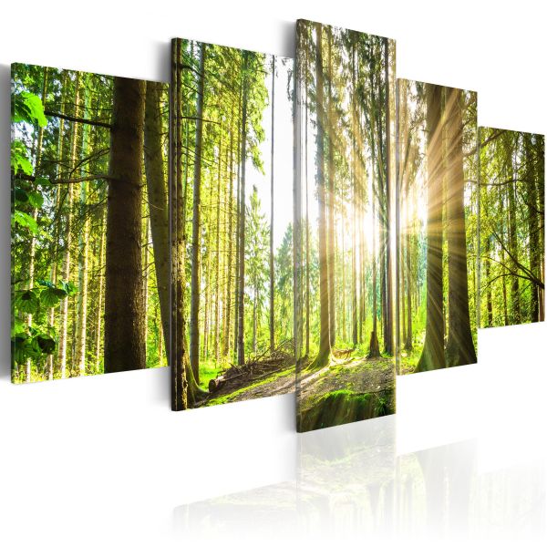 Tableau Forest Kingdom 200x100 cm | Leroy Merlin