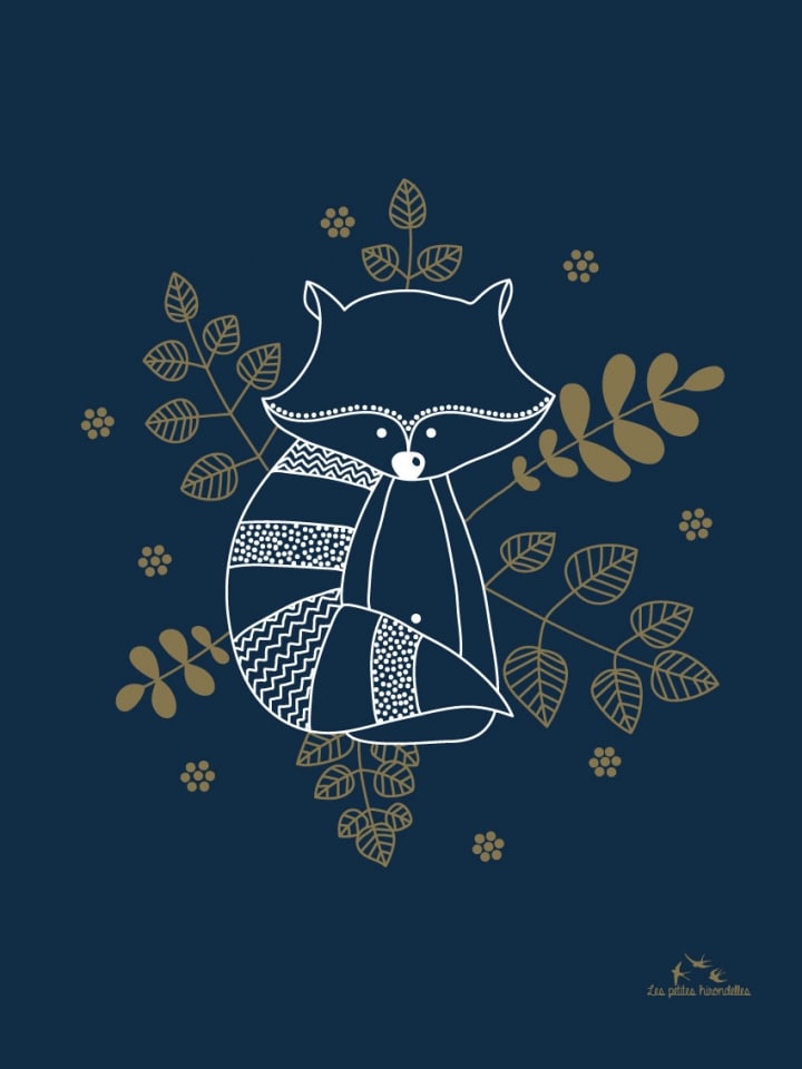 Affiche - Le raton-laveur A4 | Leroy Merlin