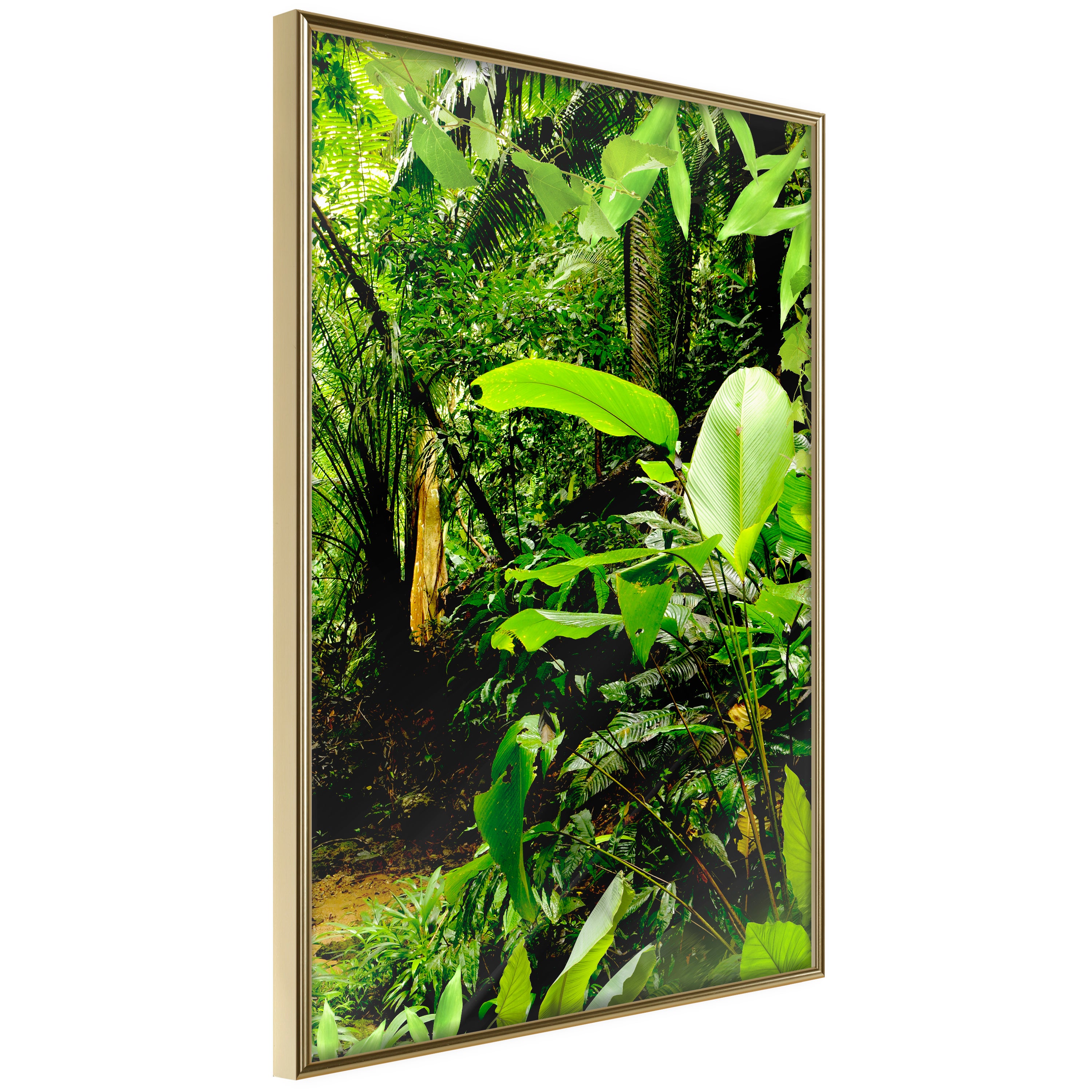 Poster et affiche - In the Rainforest - 40x60 | Leroy Merlin