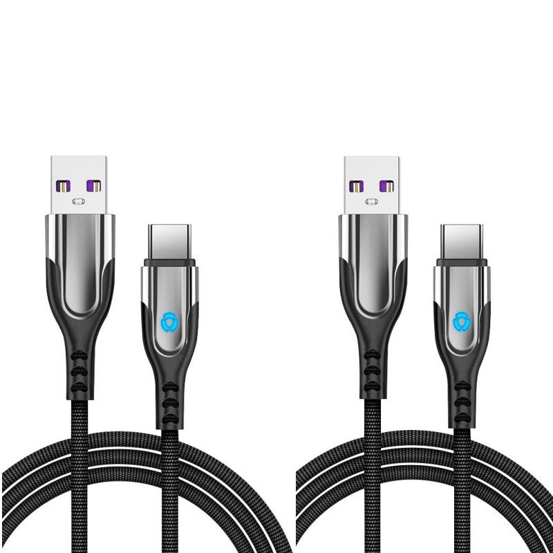 Pack de 2 câbles Type-C vers USB 3,1A charge rapide/synchronisation des ...
