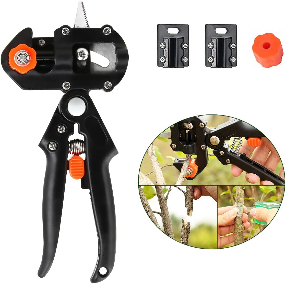 Sécateurs, sécateurs à greffer Xixiran Horticulture, sécateurs de ...