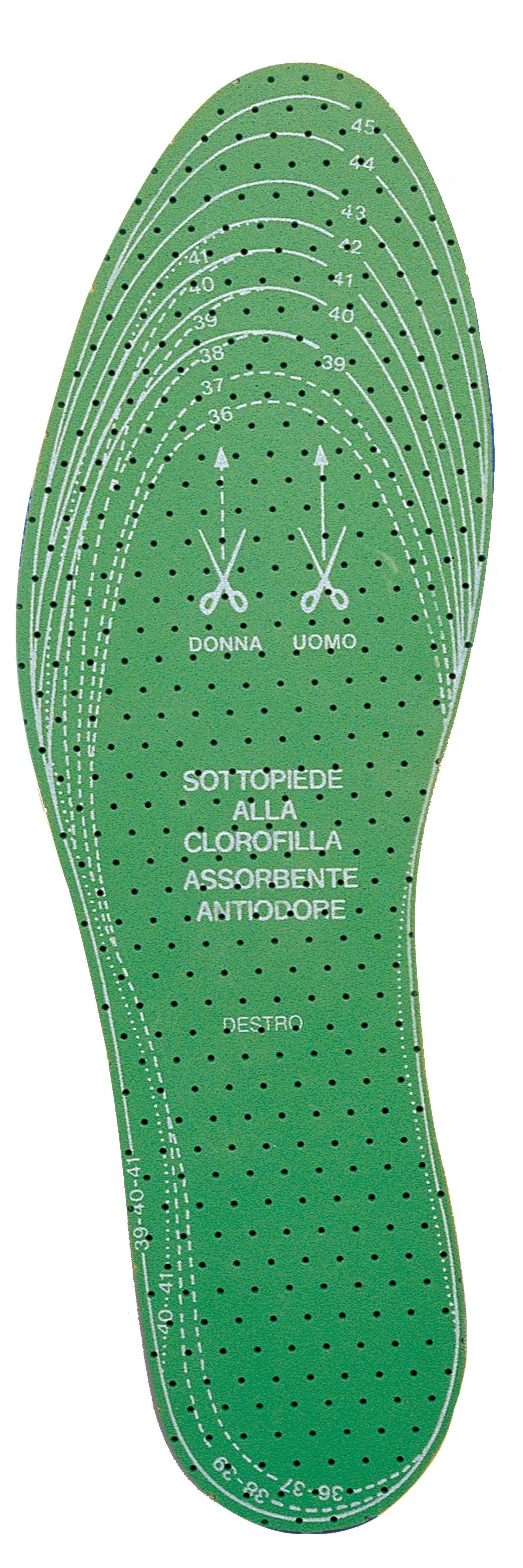 SOLETTA SCARPA CLOROFILLA | Leroy Merlin